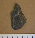 Ashmolean Museum: British Archaeology Collections - Rationalisation and ...